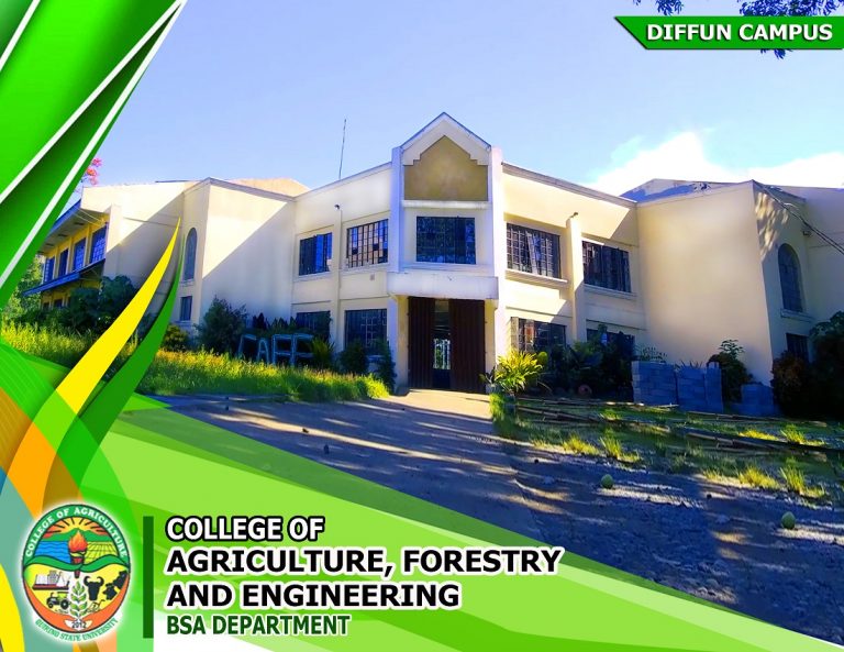 Programs | Quirino State University