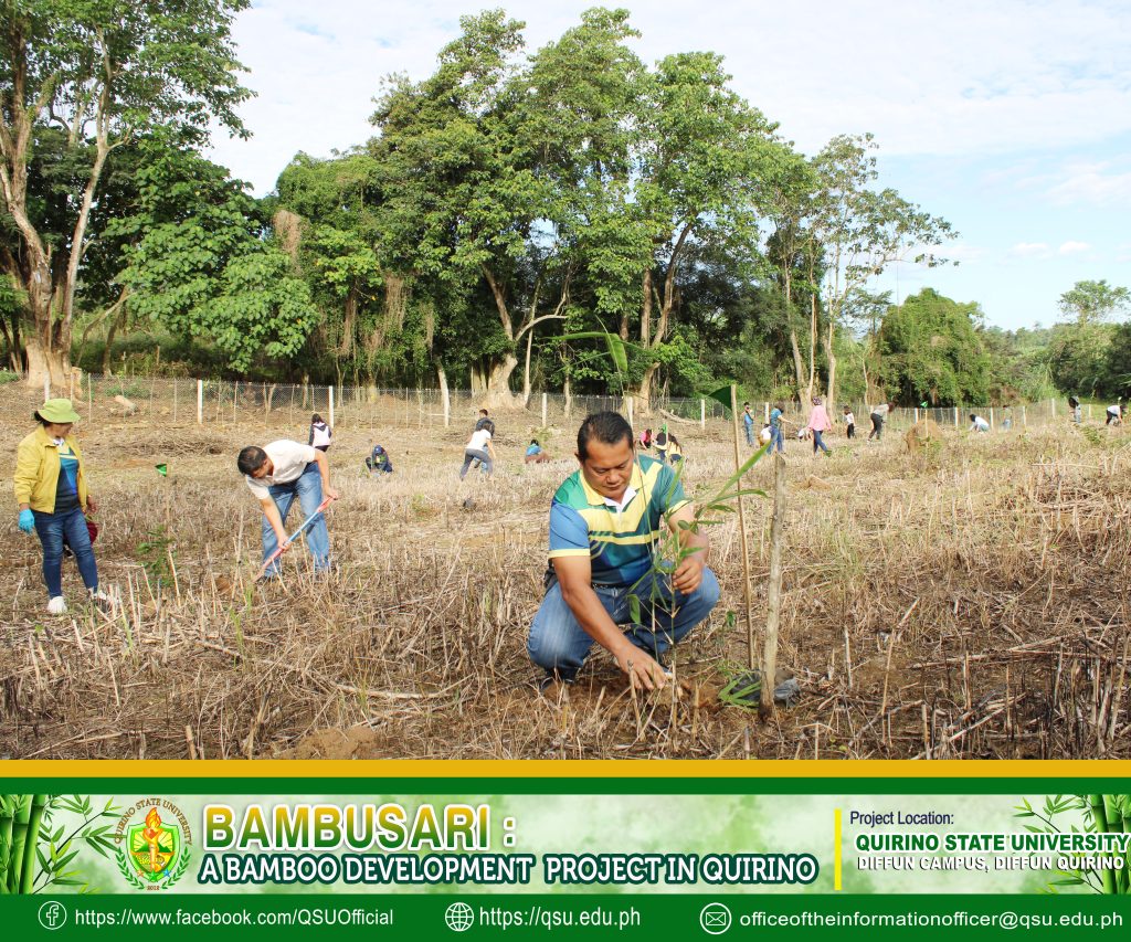 Quirino State University Launches “Bambusari”: A Bamboo Development ...