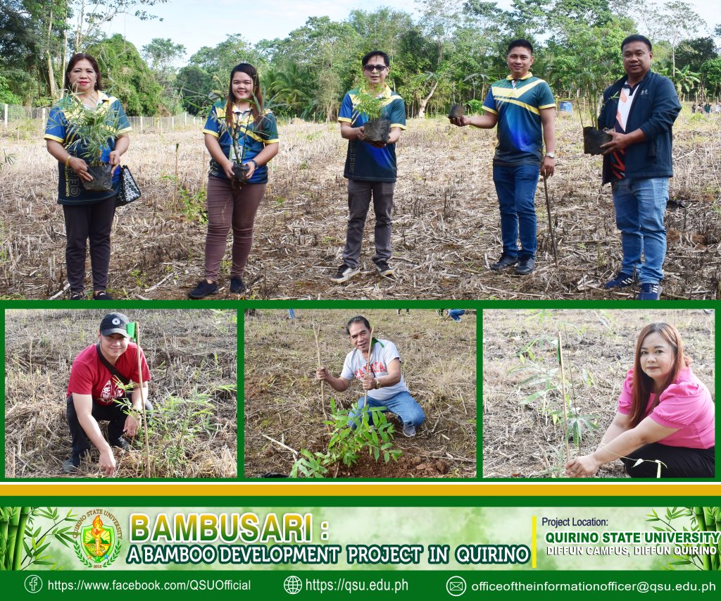 Quirino State University Launches “Bambusari”: A Bamboo Development ...