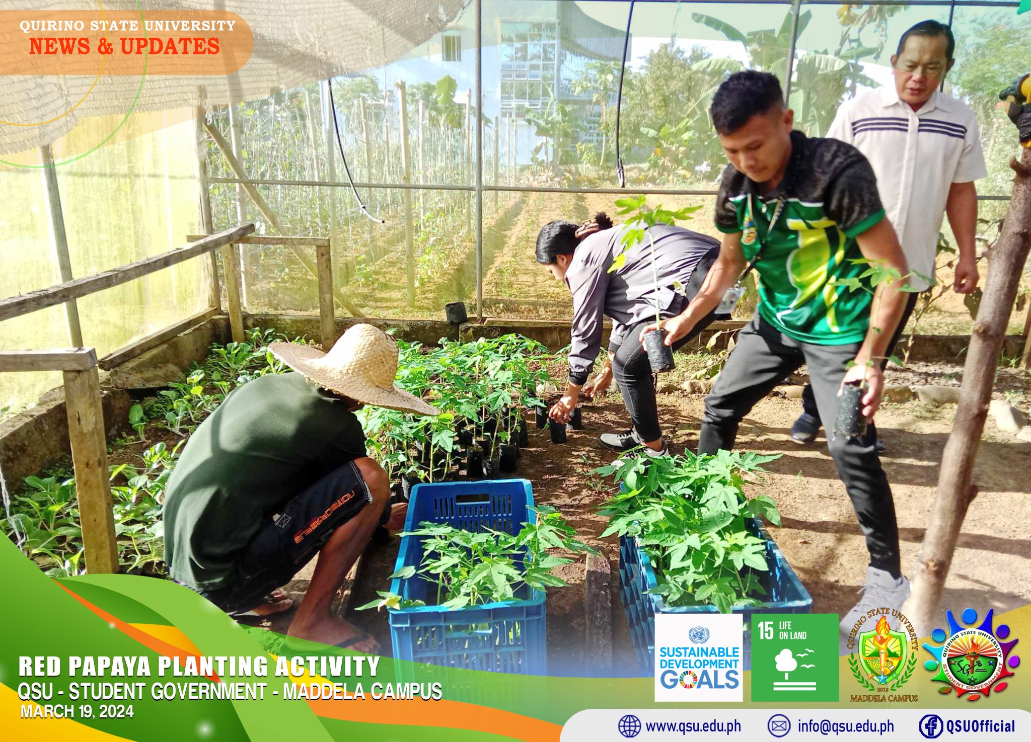QSU MADDELA CAMPUS PLANTS PAPAYA, THE ECO-FRIENDLY WAY | Quirino State ...